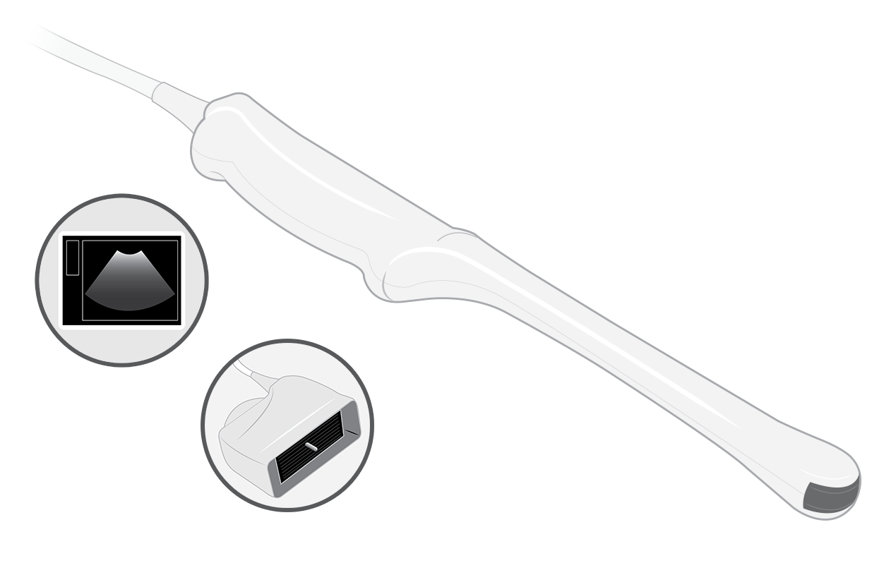 Ultrasound Probe Repair Guide: Endocavity - Avante - m6米乐官方